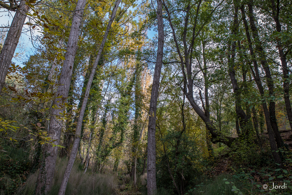 FOTOGRAFIA: EL BARRANC DE GABASA