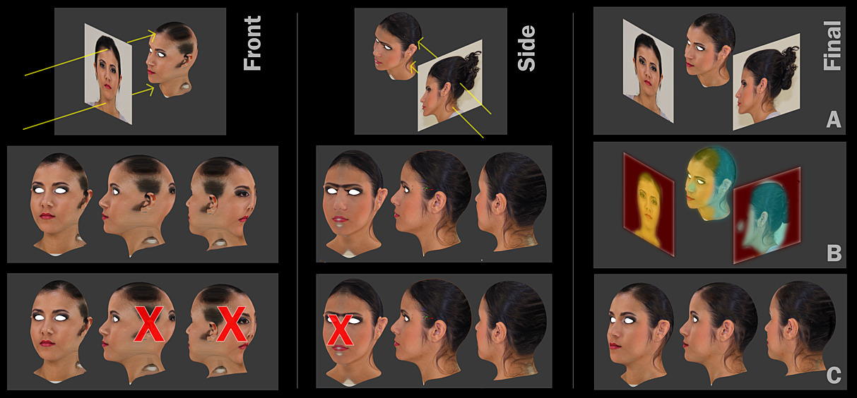 ATOR: Converting pictures into a 3D mesh with PPT, MeshLab and Blender