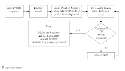 Bioinformatics Lab: Ders 5: NCBI, Blast Uygulamaları - Biyoinformatik-Lab