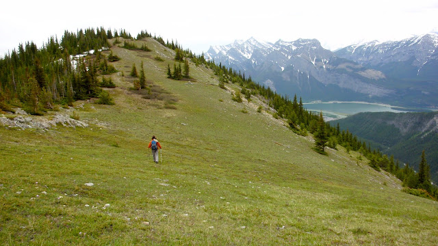 Making Waves: EXasperation at EXshaw