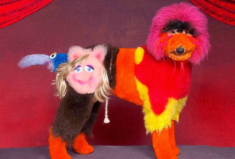 Sober in a Nightclub: Muppet Poodle.
