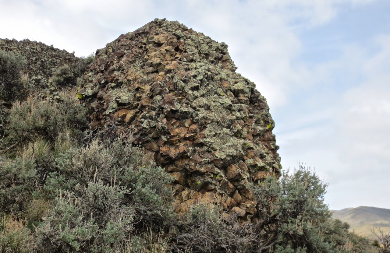 EcoRover: Springtime on Montana's High Desert: Wildflowers, Geology ...