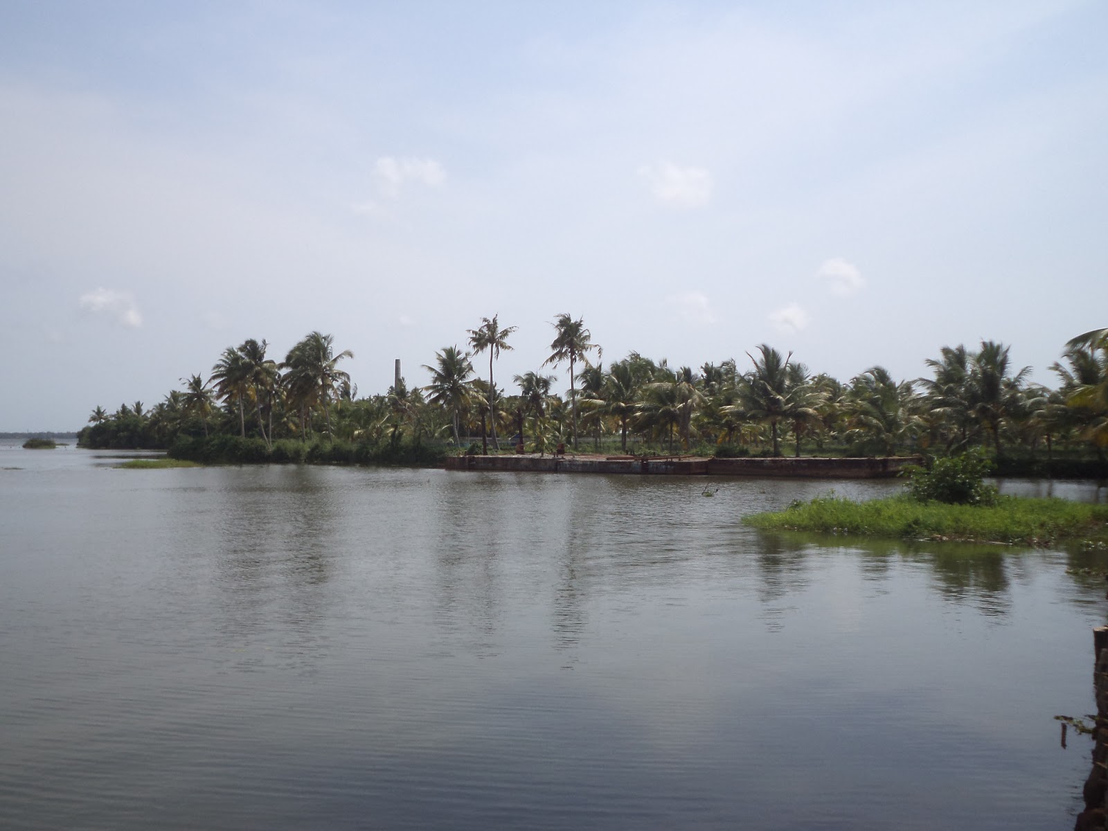 ST:XAVIER'S COLLEGE KOTHAVARA. PHOTO BLOG