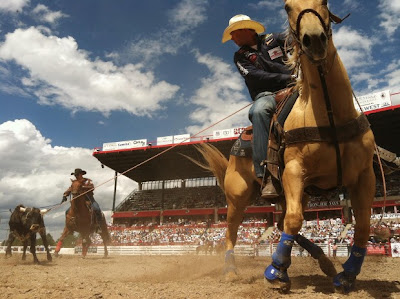 The Roping Blog: Brady Tryan & York Gill