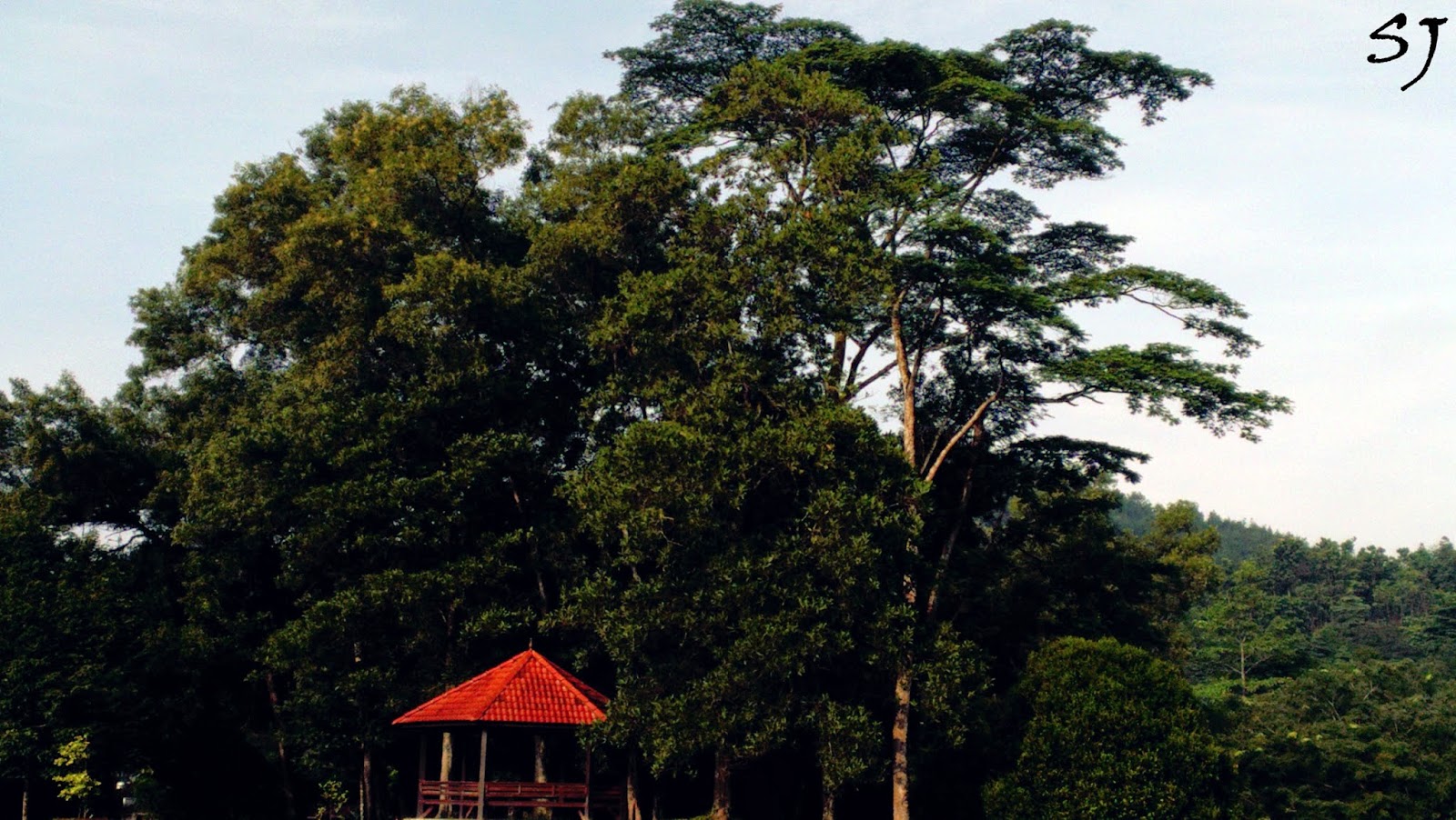 My Palace, My symphony of life and the rhythm in My heart: With Mother ...