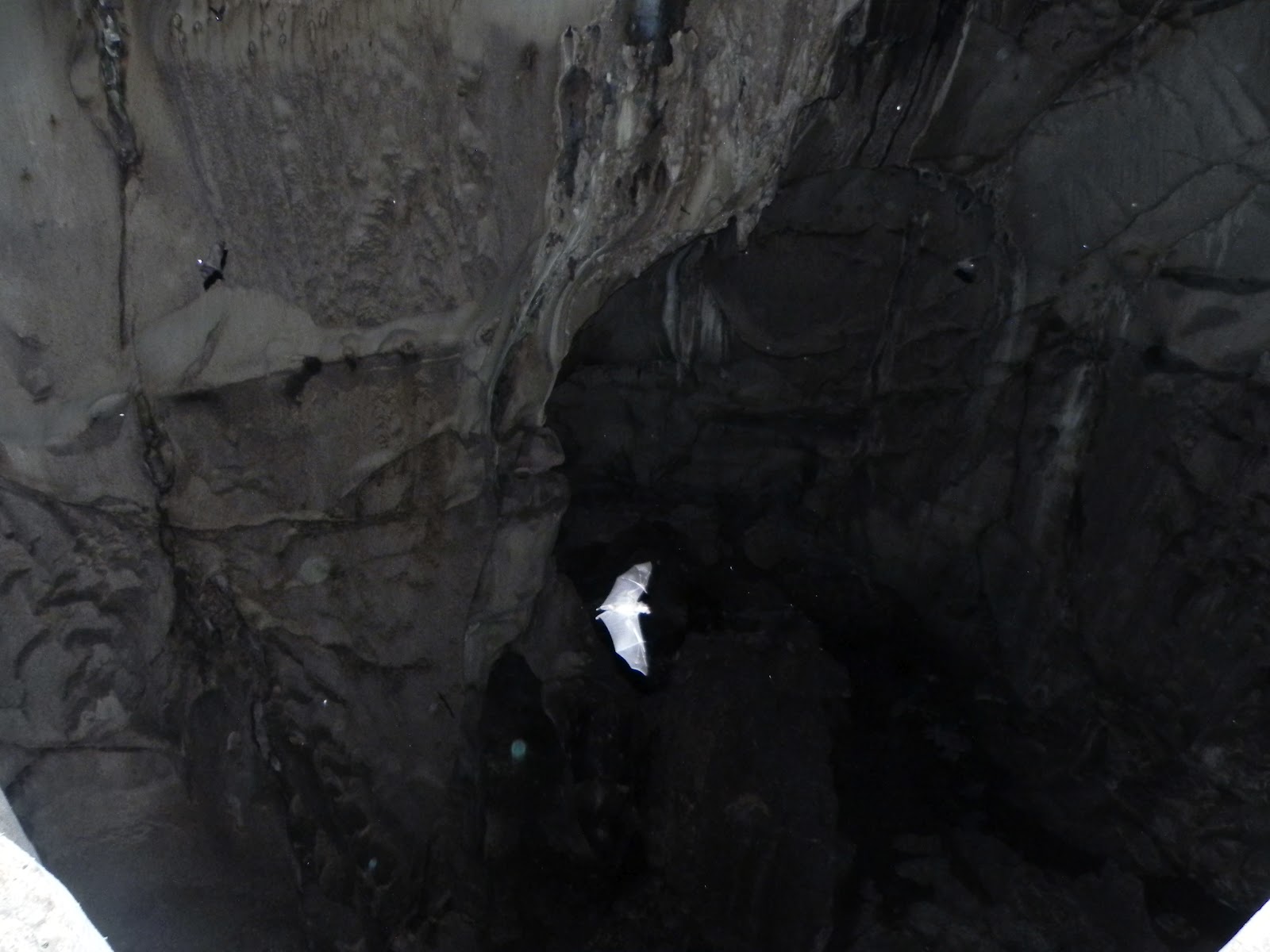 Relatif: Siri 01: Ekspedisi Gunung Reng Kedua (8.9.2012)