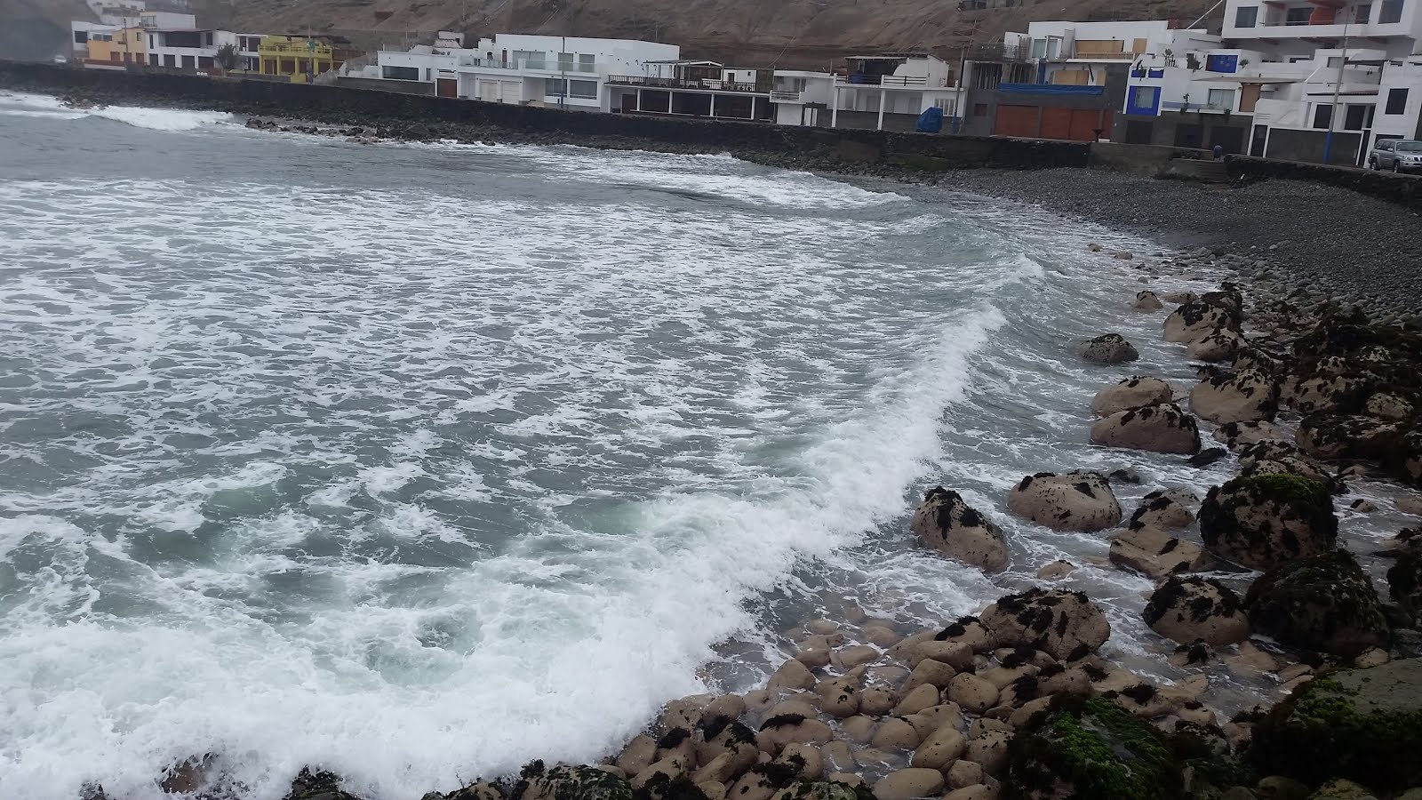 Meiofauna Perú: 2021