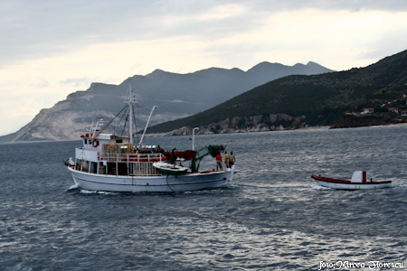 Mircea Florescu: Sa ne dam in barci