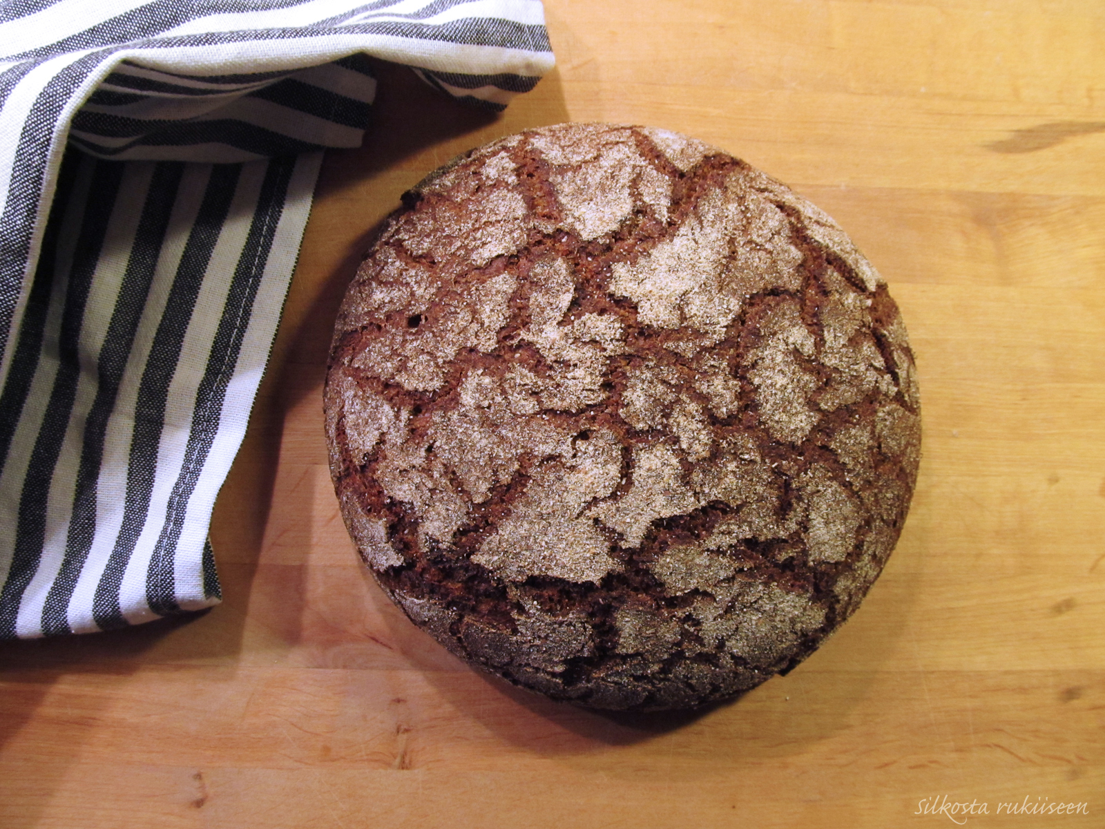 Silkosta rukiiseen – From Pine Bark to Rye: Ruisleipä – Traditional Rye ...