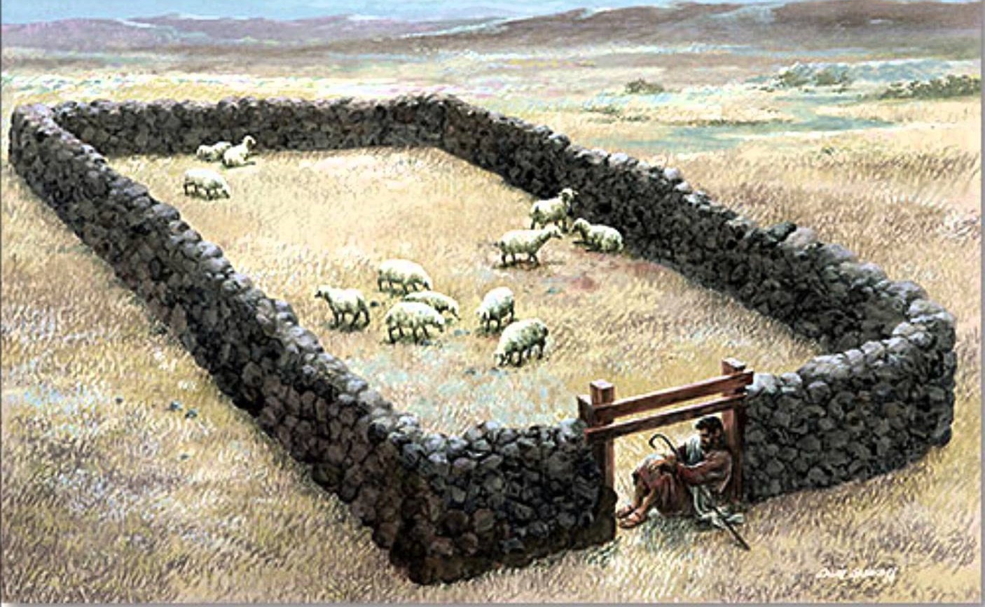 Sermons:The Sheepfold - New Vision
