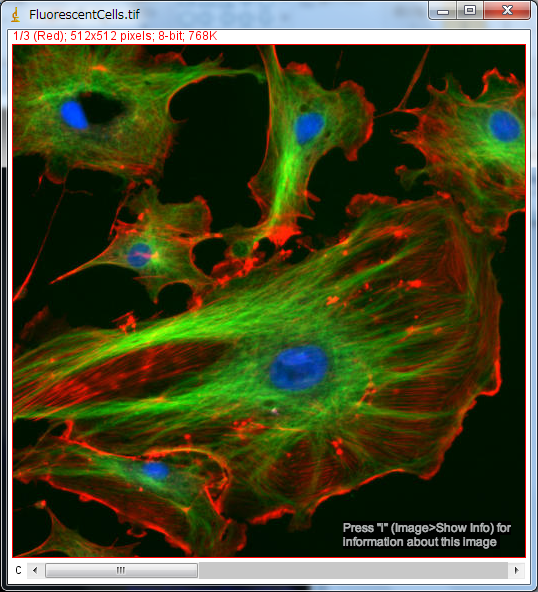 次の図は、ImageJのサンプル画像""を3チャンネルに分解した例です。