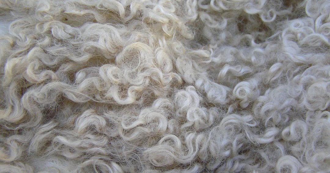 Old European culture: Gown