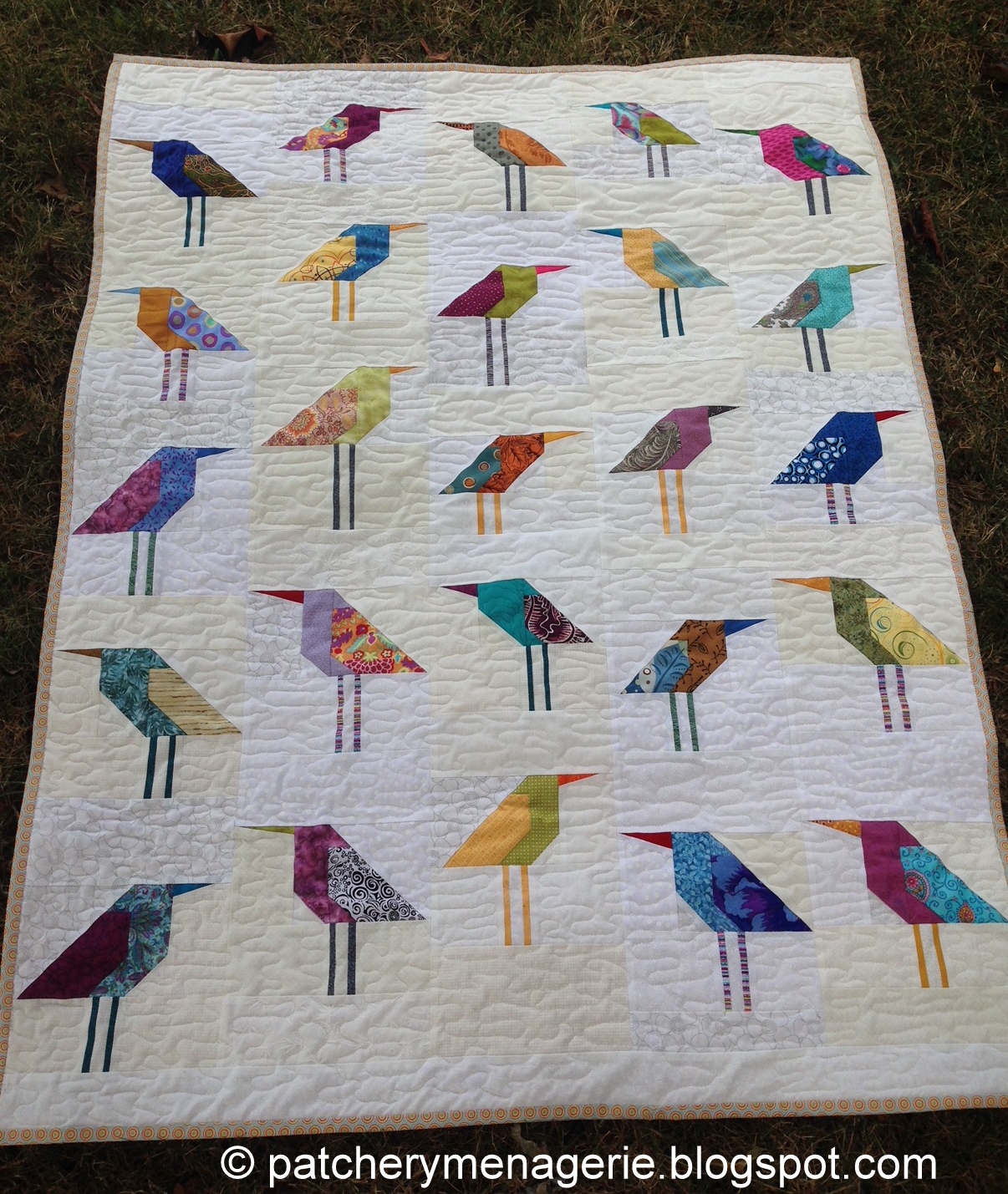 The Patchery Menagerie: More Student Birds...