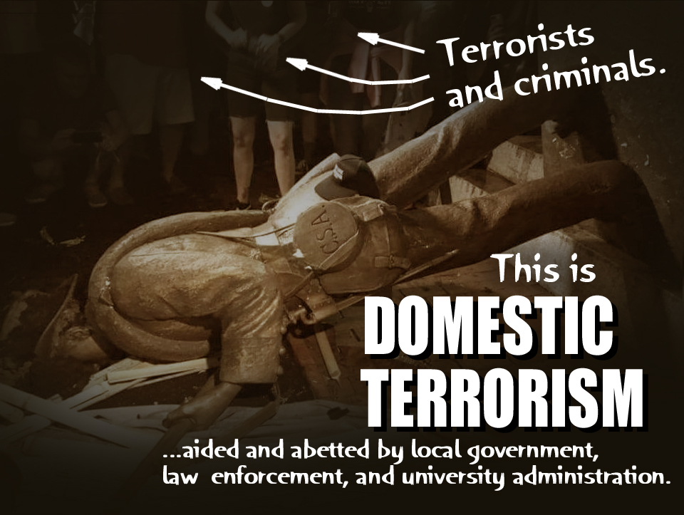 Backsass: Memes Inspired by Domestic Terrorism at UNC