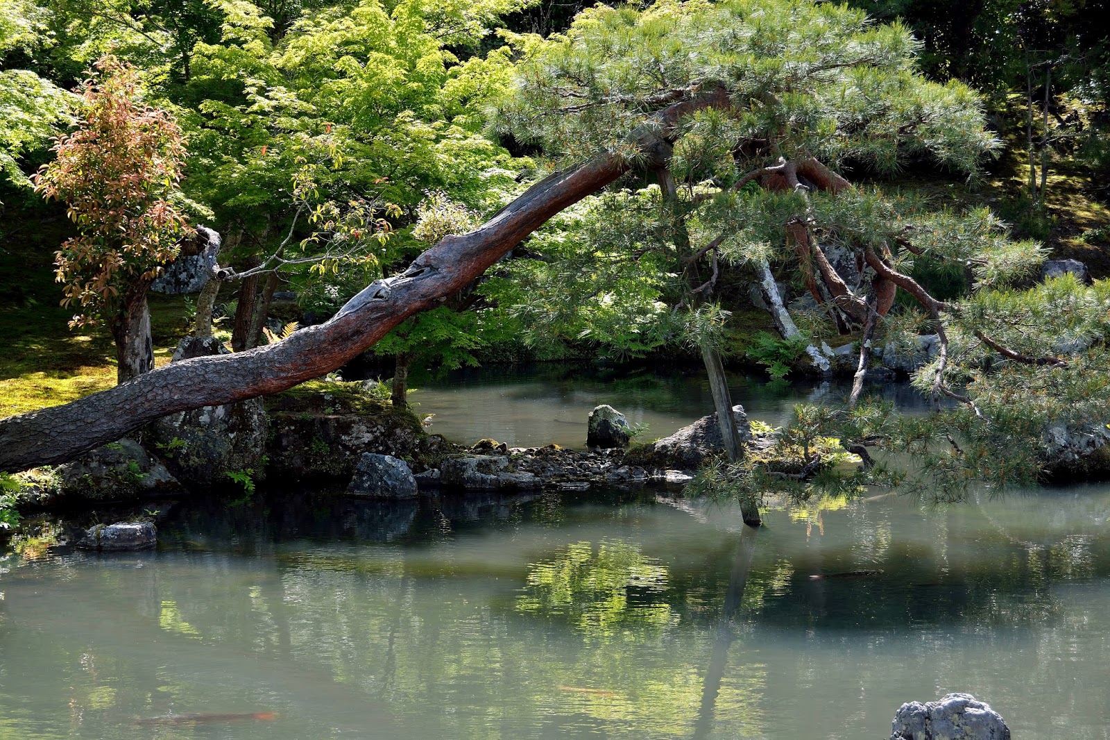 MARINA MAGRO: Giappone - Tenryu-ji temple and Bamboo forest