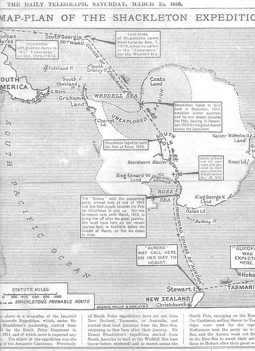 The Cuddlywumps Cat Chronicles: Mrs. Chippy: Cat of the Endurance ...