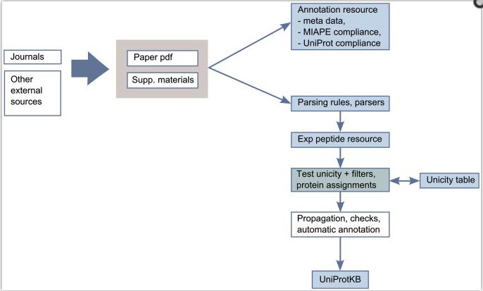 News in Proteomics Research: What goes into making Uniprot?