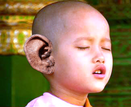 Lem's Levity: Chinese scientists grow human ears.