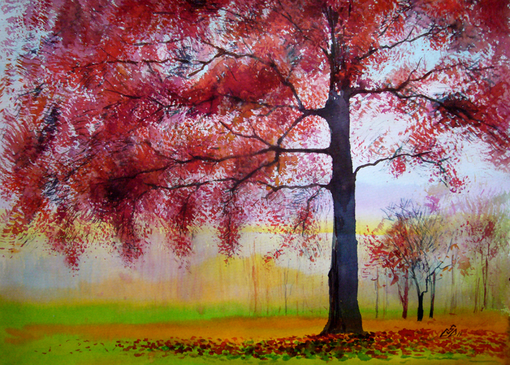 PICTURI CU PEISAJE: PEISAJE DE TOAMNA