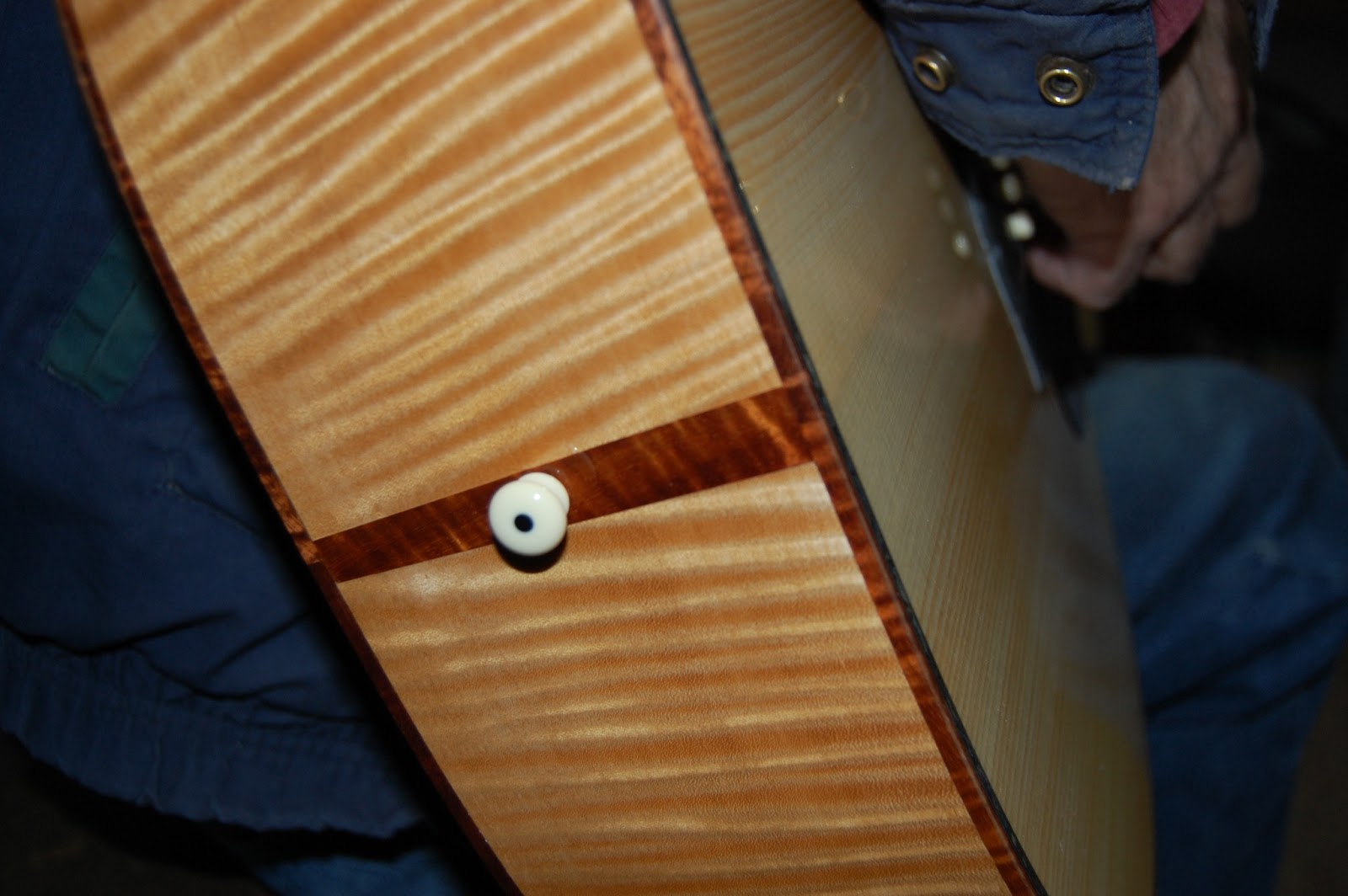 The Luthier's Apprentice: Luthier Adventure!