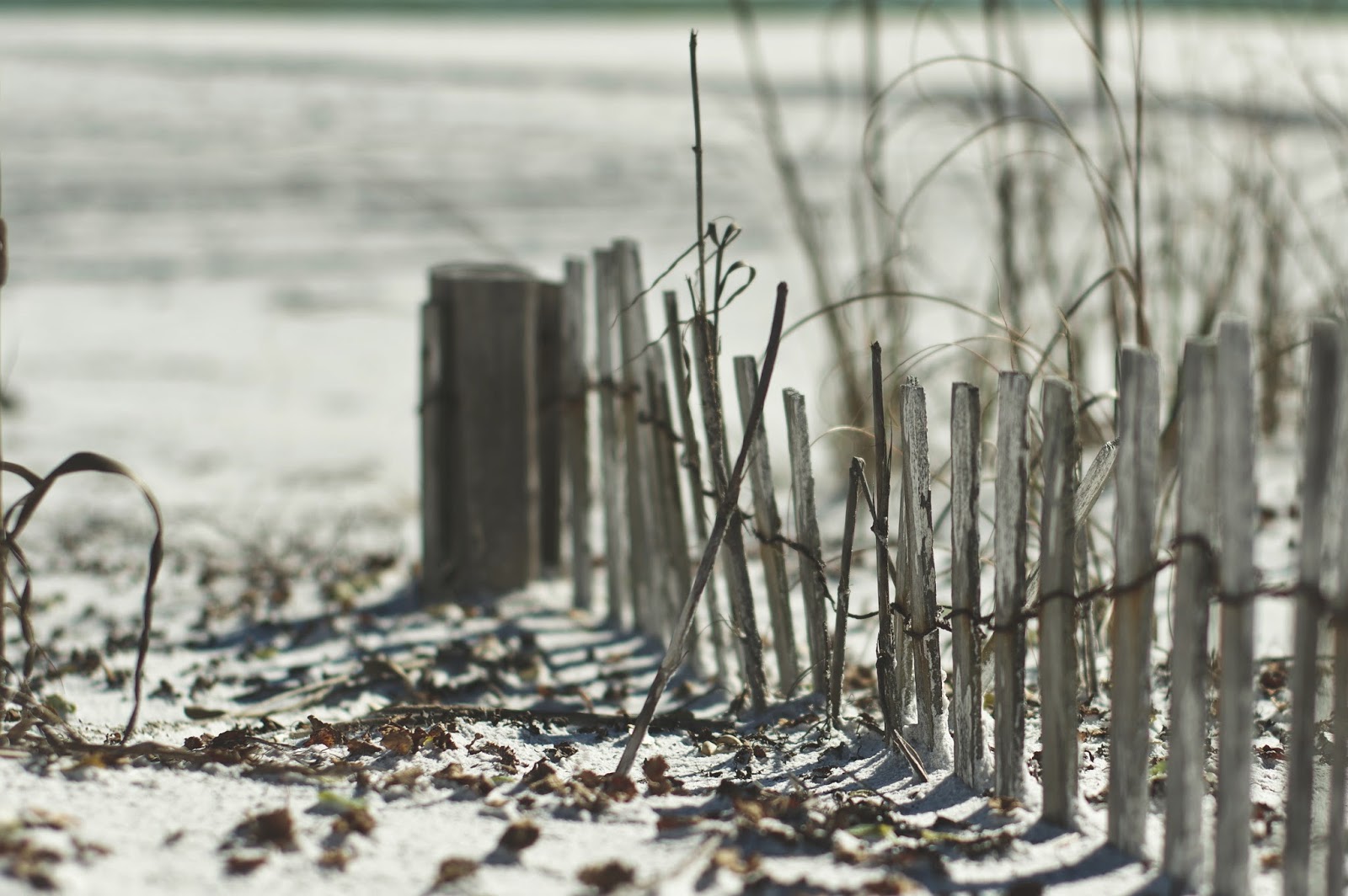 be yourself...everyone else is taken: don't fence me in