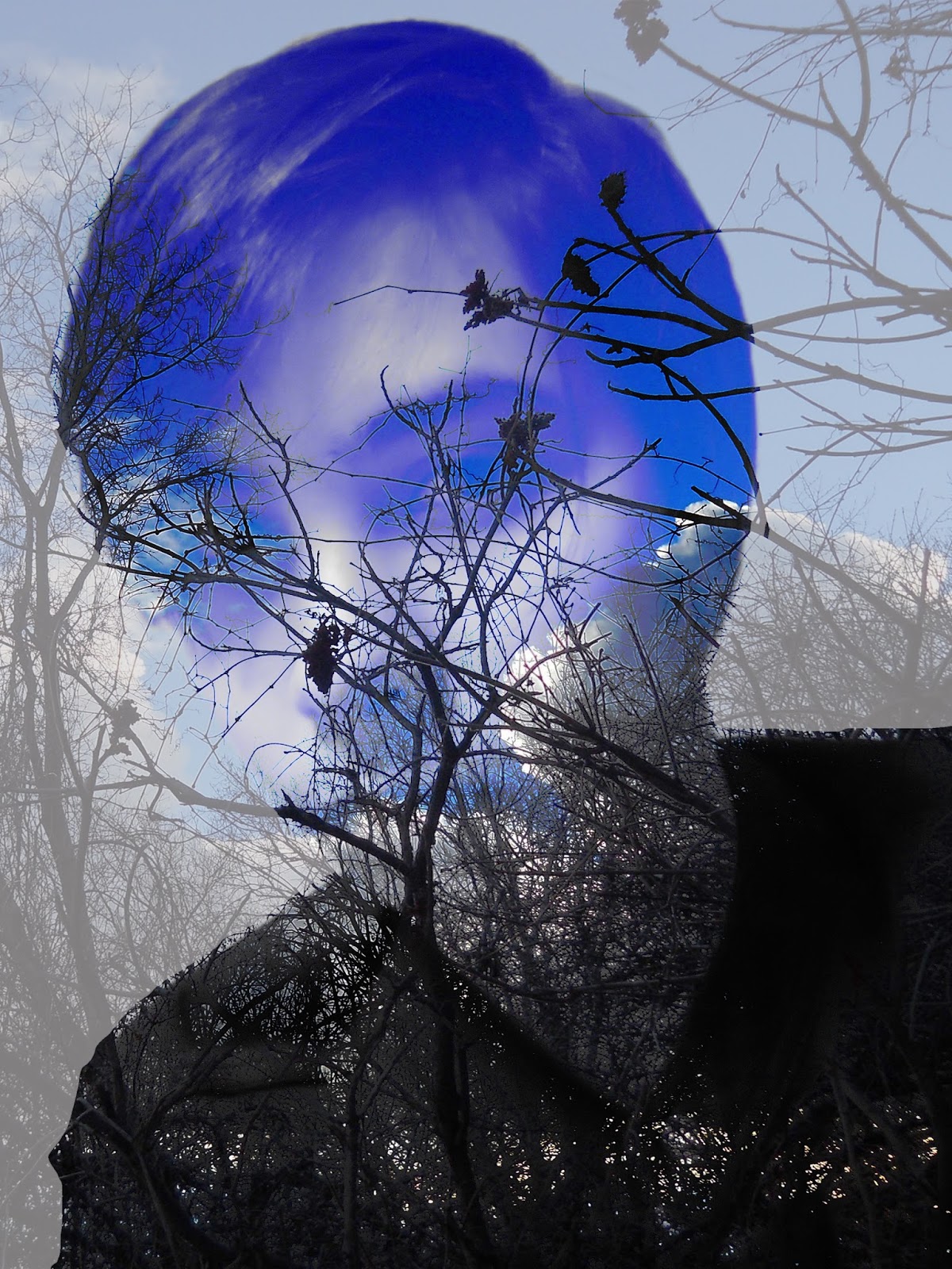 Skyline High School Digital Photography I: Self Portrait- Double Exposure