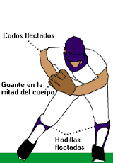 entrenamiento básico de béisbol: técnica de fildeo