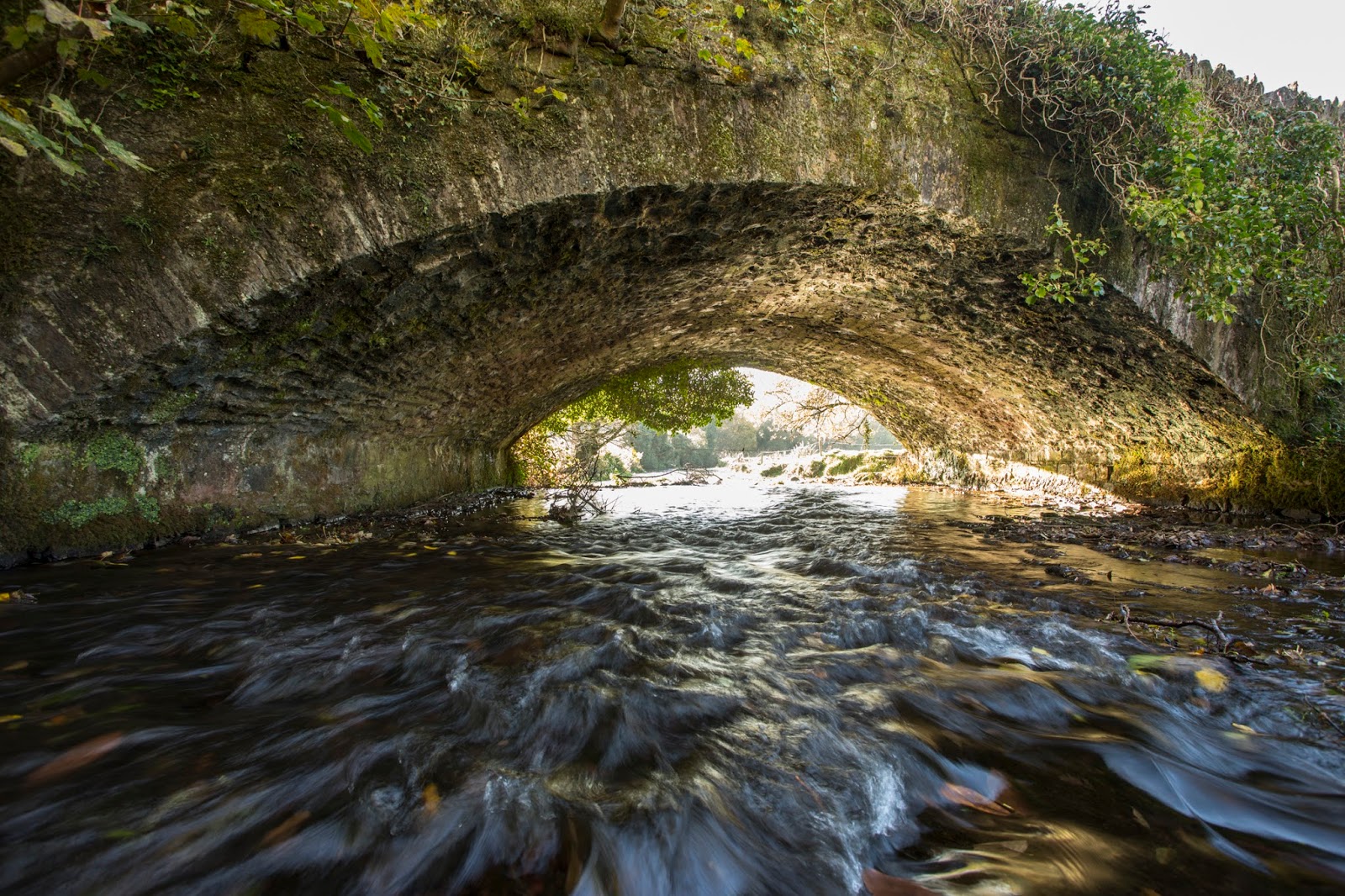 The Water in your Whiskey