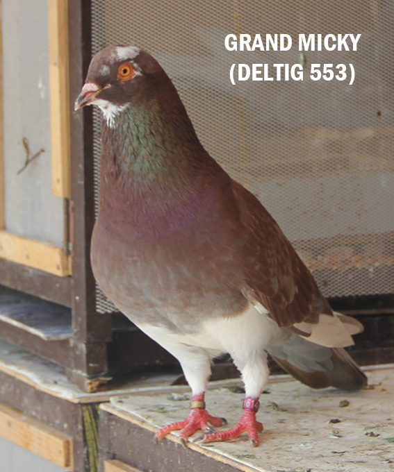 JANOKO is CAME BACK : JANOKO is CAME BACK