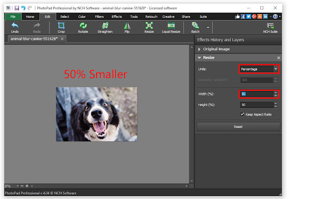 How to Resize a Picture | Do More With Software
