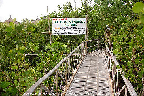 Capiz Best Adventure: Visits Panay's Natural Wonder,Mangrove Forest