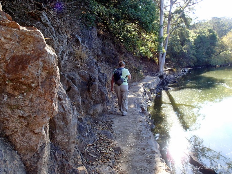 wild women walking: Tilden Regional Park | Lake Anza to Inspiration Point