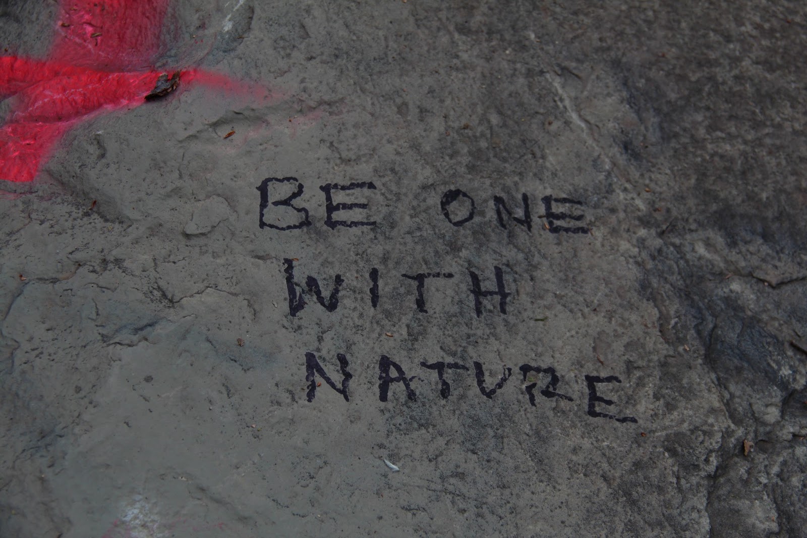 wildsouthland: Santa Paula Canyon: Be One With Nature
