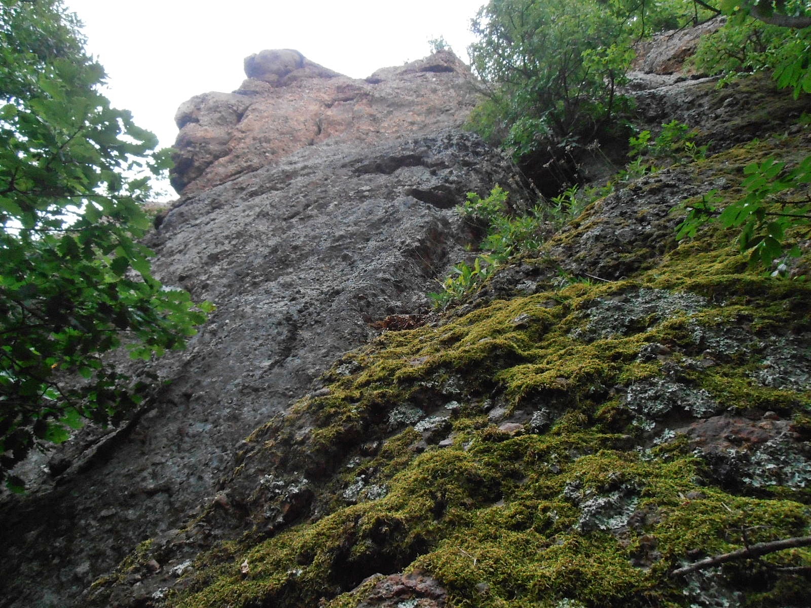 Erdőkerülők: Egy 9 millió éves homokkő-pad Badacsonyörs felett