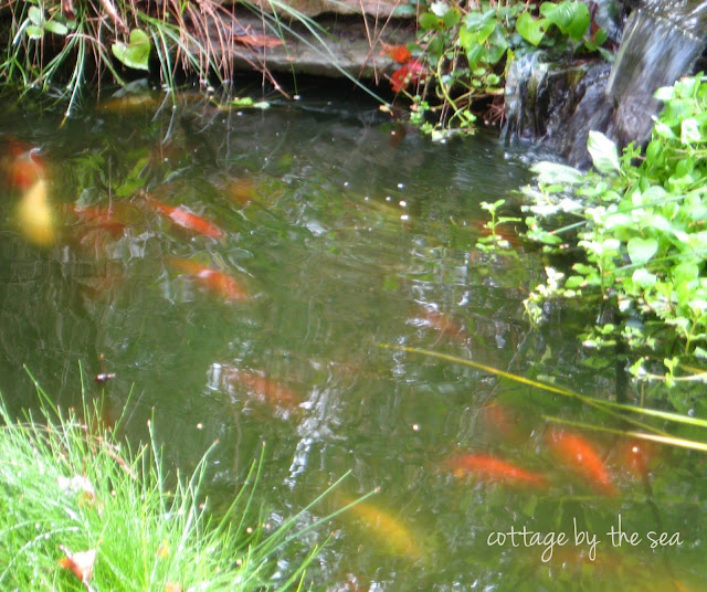 Cottage by the Sea : 10/16