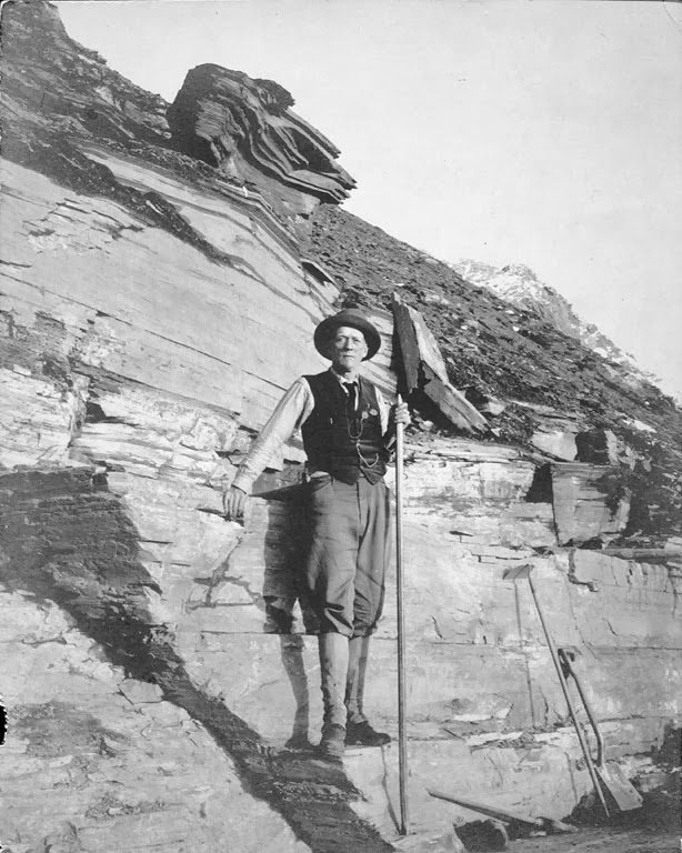 Palaeos, la historia de la Vida en la Tierra: octubre 2013