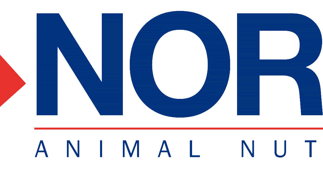 The Global Miller: 30/03/2015: Latest news from Norel