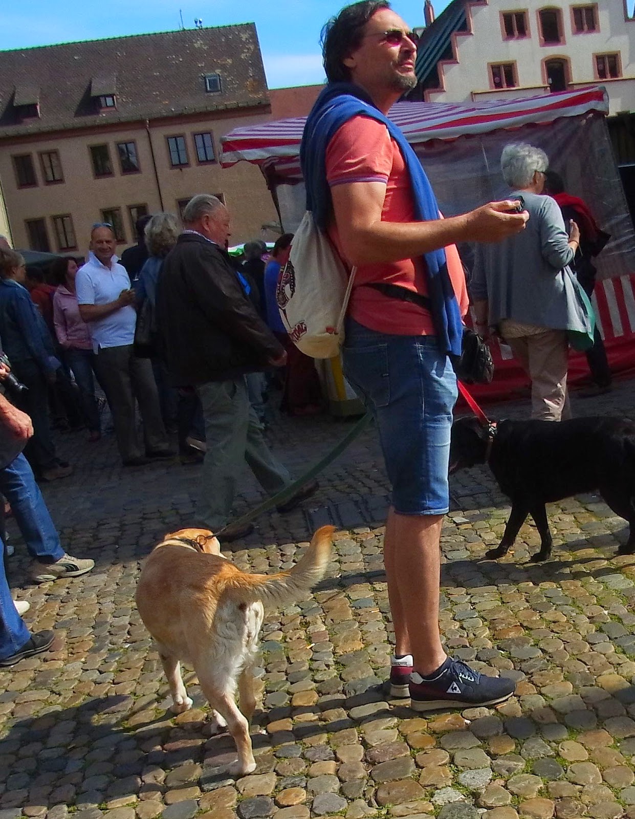 Wanderungen durch die Natur: Bunte Freiburg Splitter
