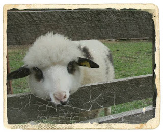 Sarbatoarea Pastelui. Mielul si Iepurasul de Paste. Traditii de Paste.