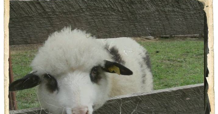 Sarbatoarea Pastelui. Mielul si Iepurasul de Paste. Traditii de Paste.