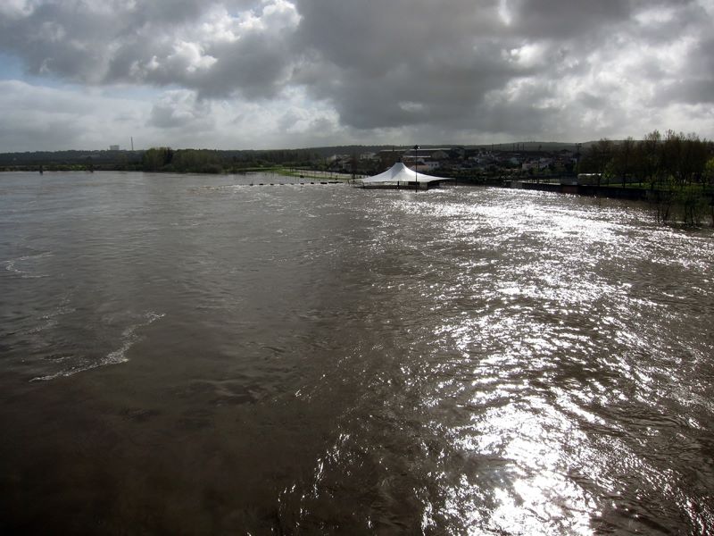 Tomar na Rede: Algumas das melhores fotos das cheias