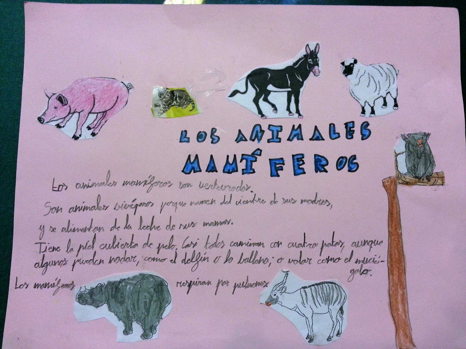 La clase de 2º: TRABAJOS SOBRE LOS ANIMALES.