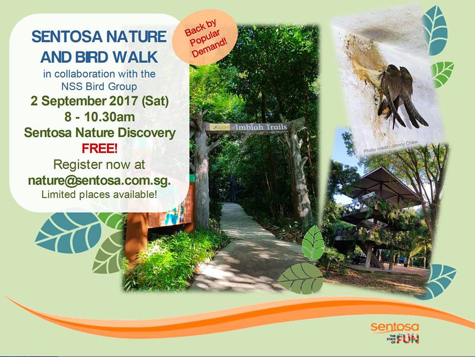 wild happenings in singapore: 2 Sep (Sat): Sentosa Nature and Bird Walk