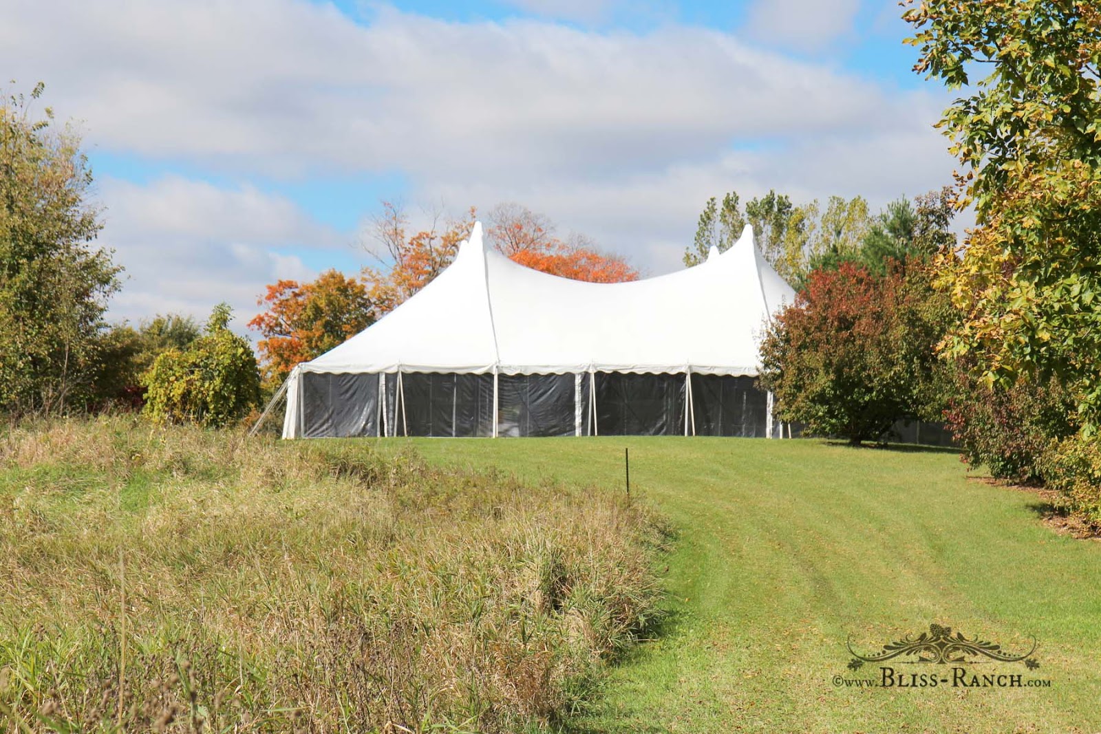 Bliss Ranch: Mini Biff, A Good Place To Go