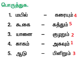 Tnpsc Tamil Notes: மரபுச் சொற்கள் , பிற மொழிச் சொற்கள் , தளை
