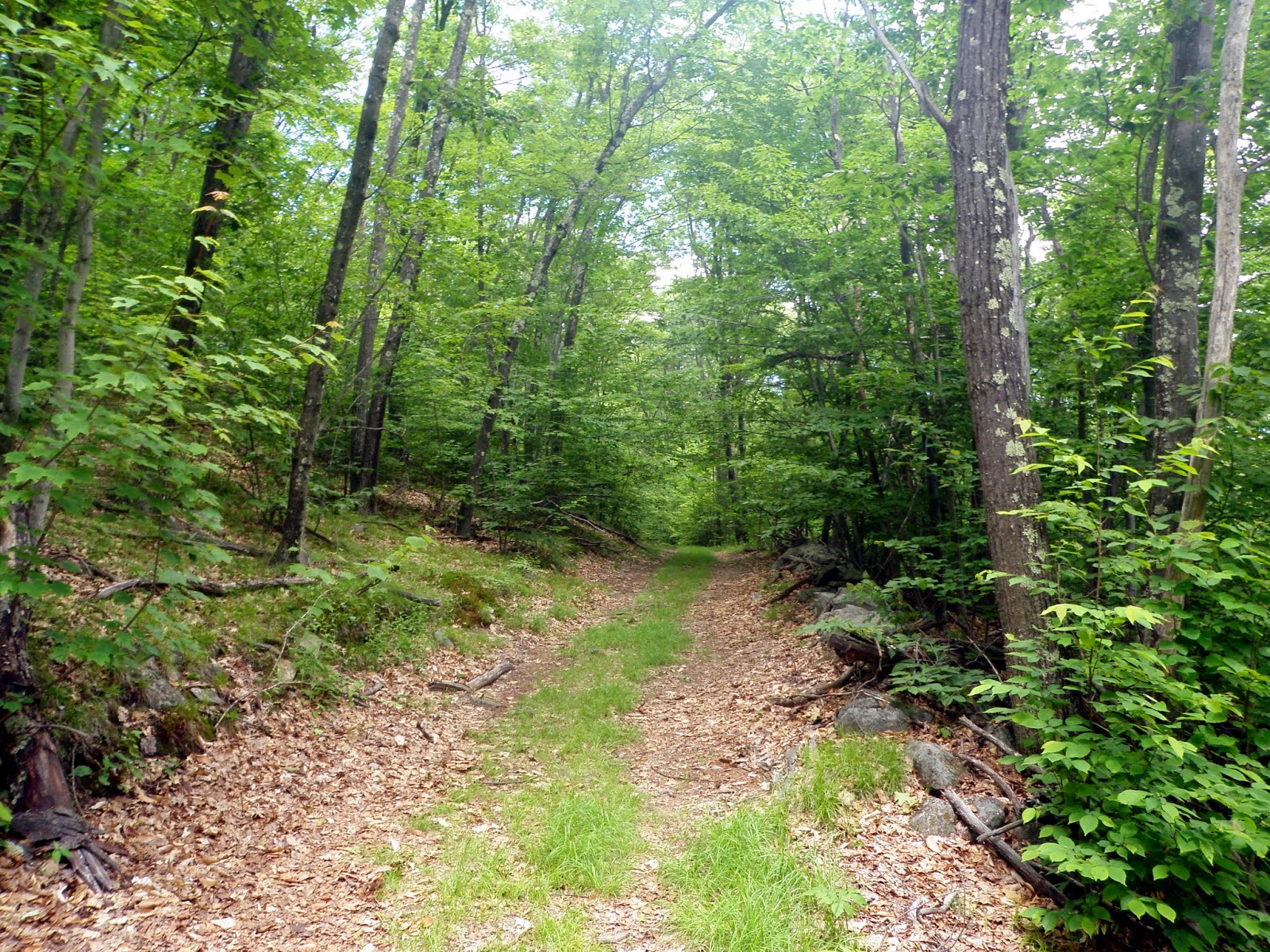 Trekking For A Cure. Giving MS The Boot!!: Monroe Hill (Fox State ...