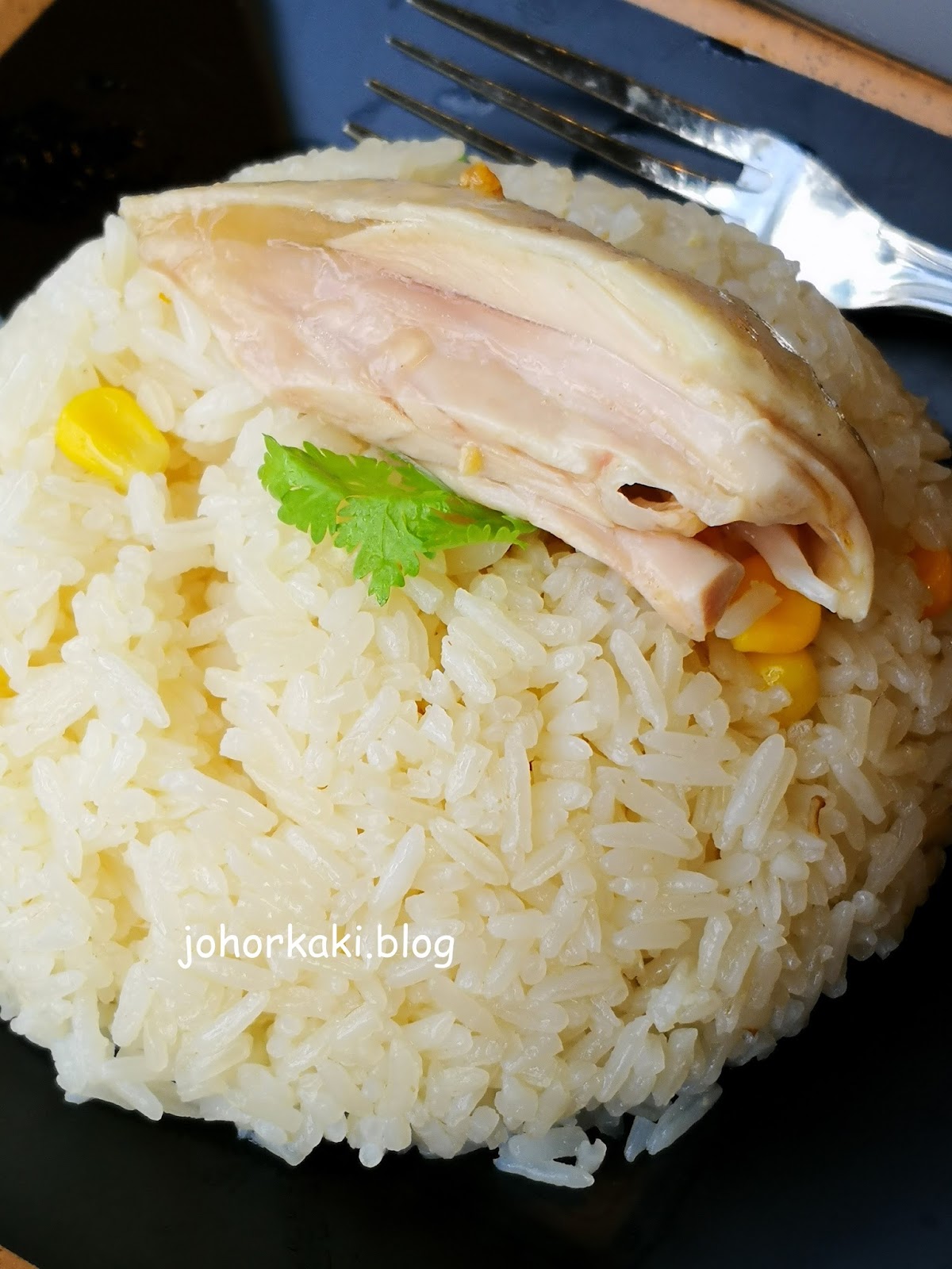 Chicky Fun Halal Singapore Chicken Rice @ Bagus. Northpoint City Mall ...