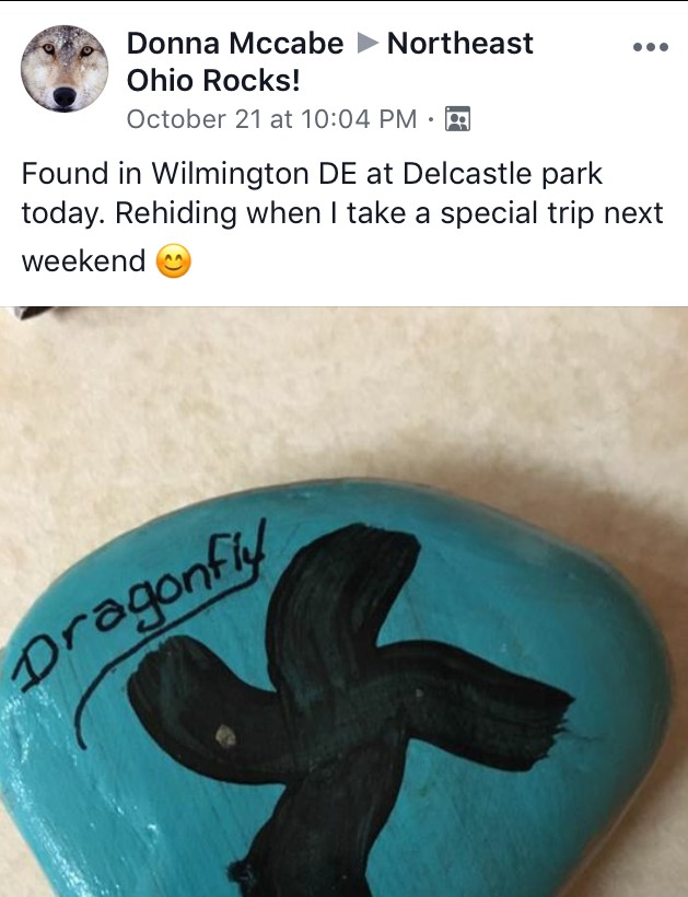 Northeast Ohio Rocks!: Northeast Ohio Rocks! in all 50 States..Cuatro!