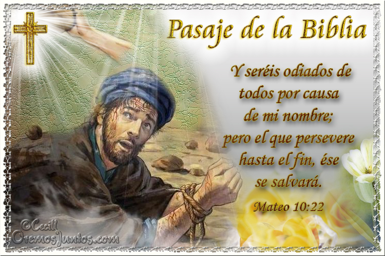 Vidas Santas: Santo Evangelio según san Mateo 10:22