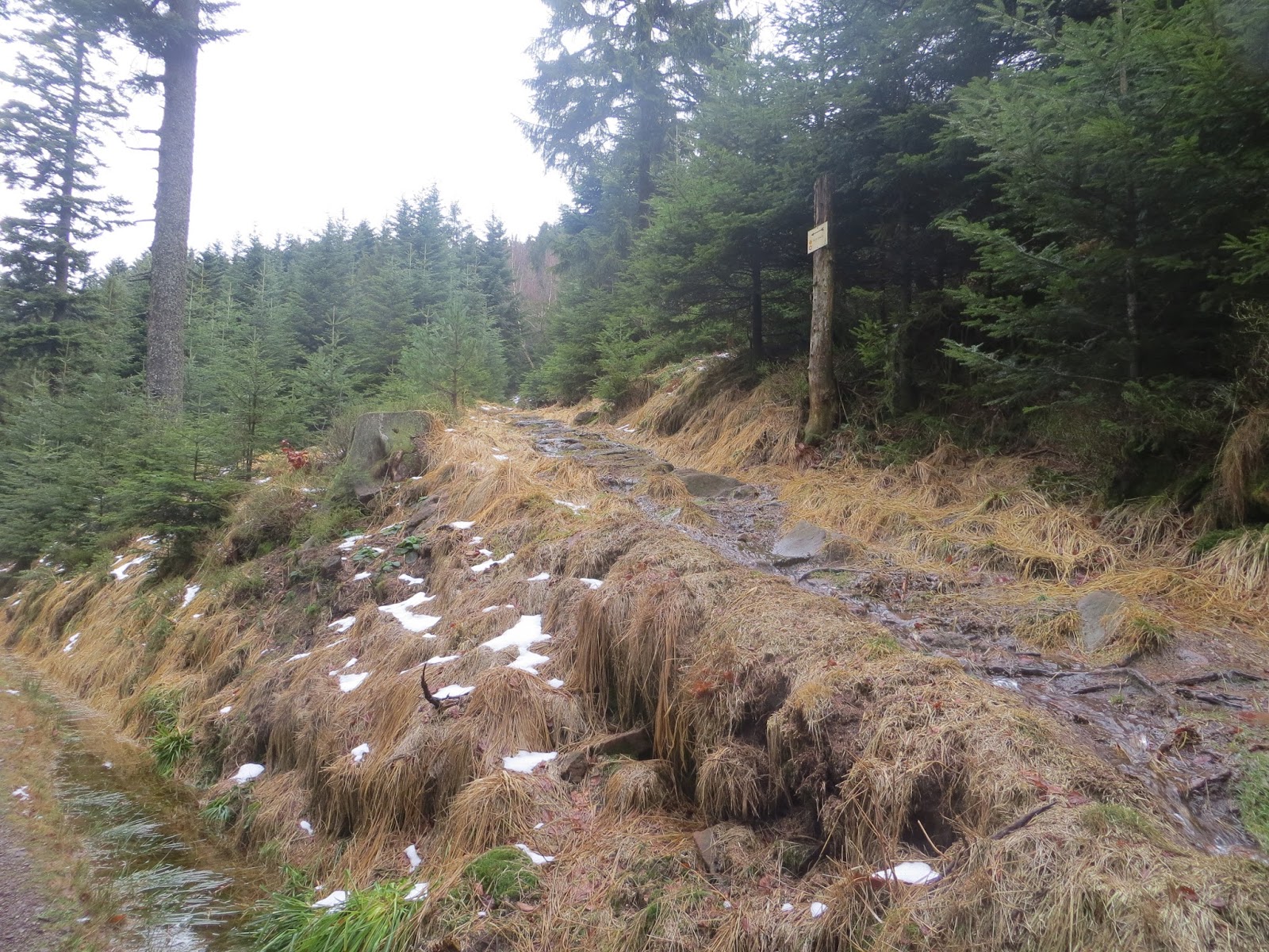 La rimaye: l'amour des montagnes: Le Donon, sommet majeur des Vosges ...